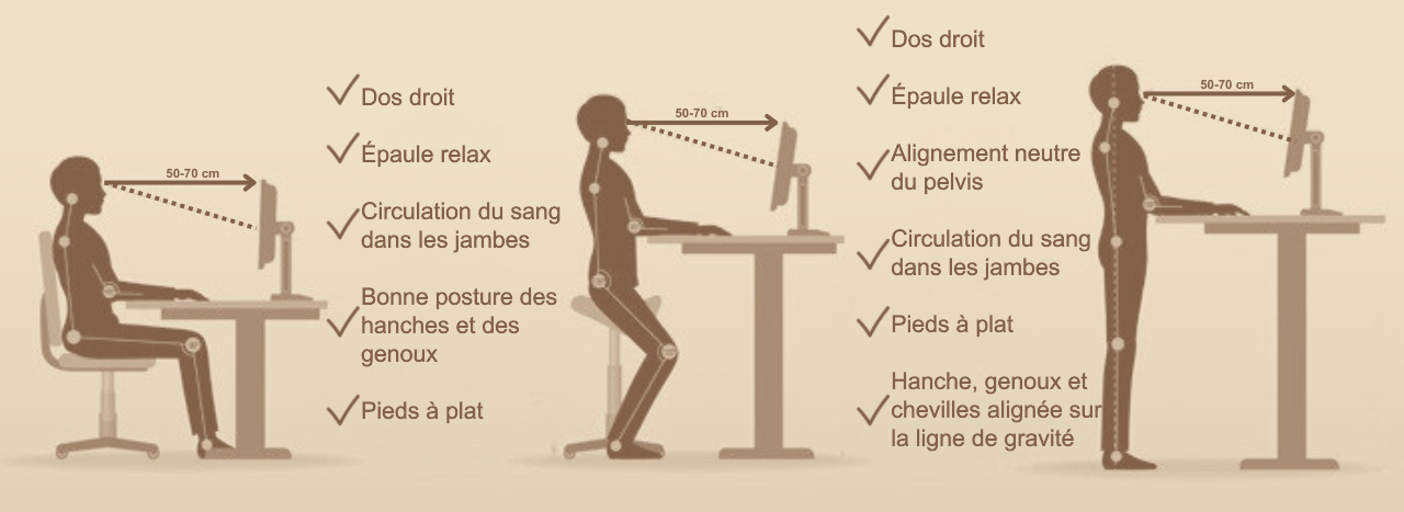 Travailler debout ou assis : quelle est la meilleure posture